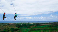 Zipline Tour On Oahu's North Shore 2018