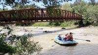 Animas River 4-Hour Rafting Excursion with Guide 2018 - Durango
