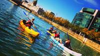 2-Hour Liffey River Kayaking Adventure in Dublin 2018