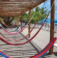 Cozumel Shore Excursion: Playa Uvas Private Beach Pass 2018