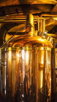 Boston Guided Brewery Tour with Tastings, plus Lunch or Dinner 2018