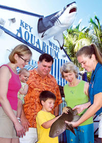 Key West Aquarium 2017