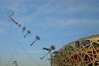 Beijing Family Tour: Pandas at Beijing Zoo, Rickshaw, Calligraphy ...