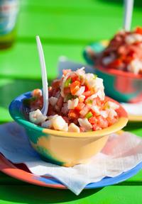 Conch Snorkeling Adventure in Grand Turk - Grand Turk | Viator