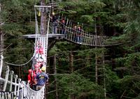 Ketchikan Shore Excursion: Rainforest Canopy And Zipline Adventure ...