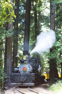 Santa Cruz Redwoods Roaring Camp Steam Train Ride in Felton 2018