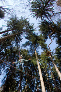High Ropes Experience from Interlaken - Interlaken