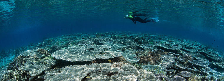 The 5 Best East Nusa Tenggara Tours, Excursions & Activities 2018