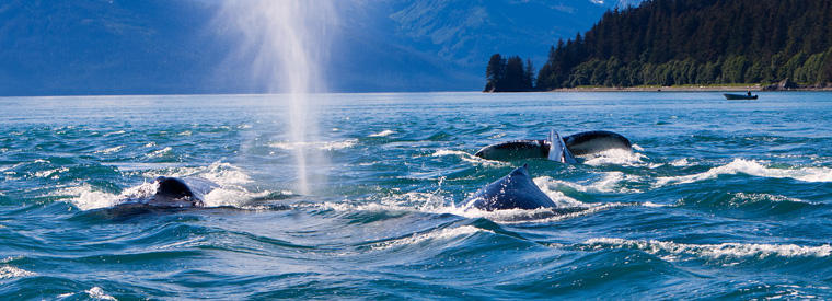 The Top 10 Juneau Outdoor Activities Tours (w/Prices)
