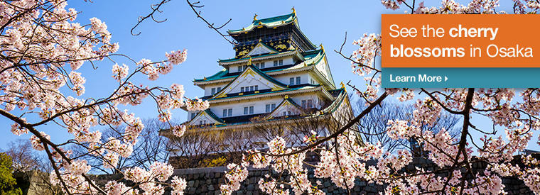 The 10 Best Osaka Tours, Excursions & Activities 2017