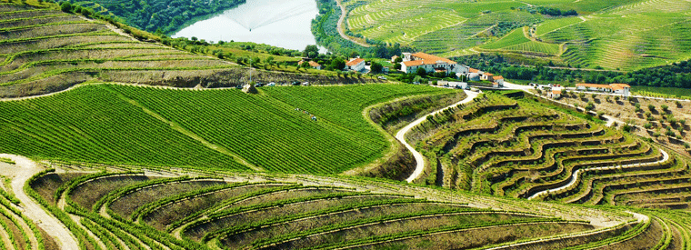 The Top 10 Porto Wine Tasting & Winery Tours (w/Prices)