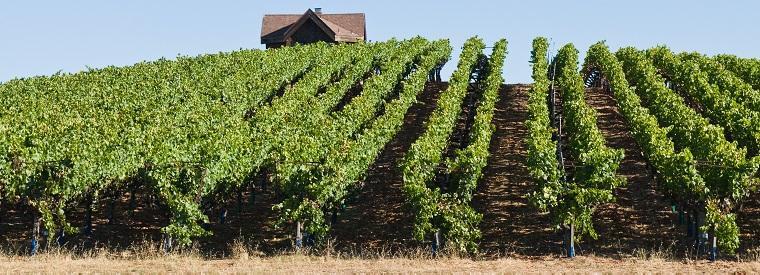 The Best Things To Do in Santa Rosa | Viator