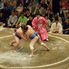 Tokyo Sumo Wrestling Tournament | Viator
