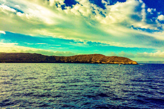 Molokini and Turtle Arches Snorkeling Trip 2019 - Maui