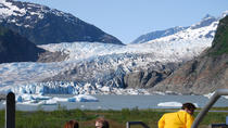 Mendenhall Glacier, Whale-Watching Cruise and Juneau City Tour 2021