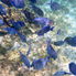 Isla Contoy Day Trip: Snorkeling at Ixlache Reef and Eco-Paradise Tour ...