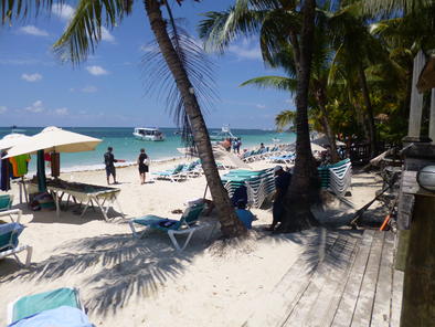 Roatan Shore Excursion: Zip 'n' Dip Canopy Tour 2017 - Roatan