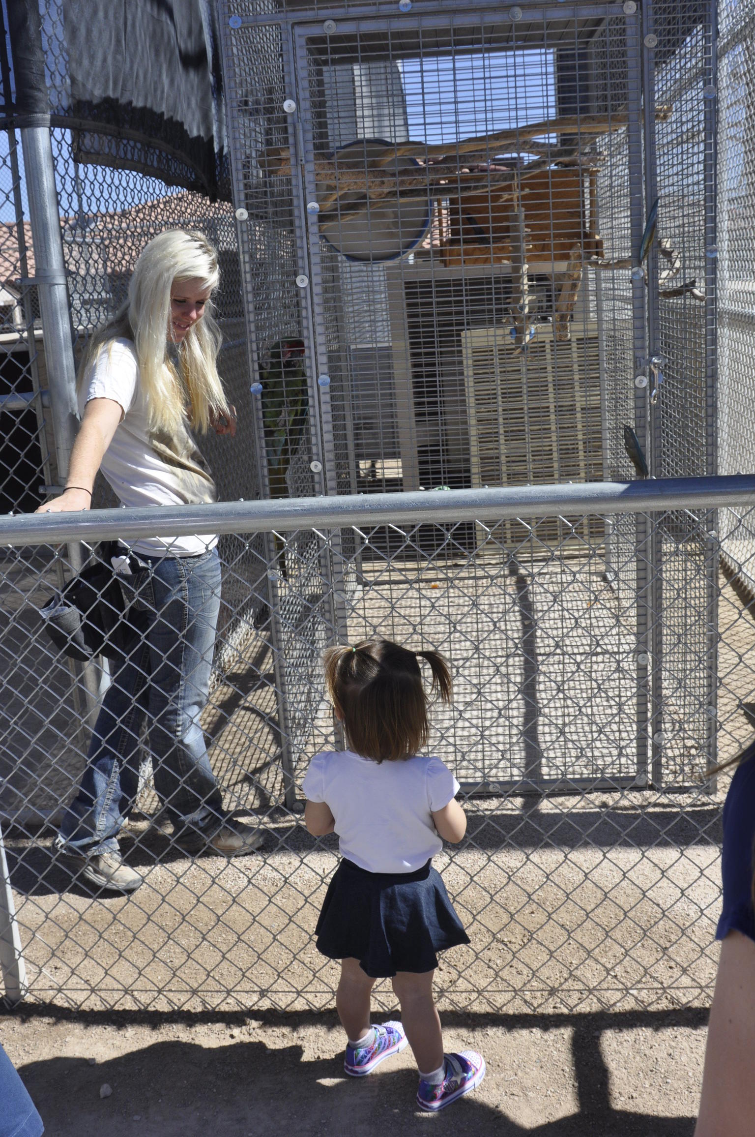 Lion Habitat Ranch in Las Vegas — photos and description, location ...