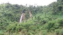 Navua River Village and Kava Ceremony Tour including Lunch 2019 ...
