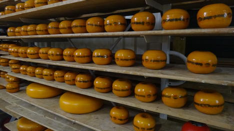 Small Group Zaanse Schans Windmills, Volendam and Old Villages Tour ...