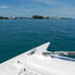 Bermuda Catamaran Sail and Snorkel Tour (with Photos) - Bermuda