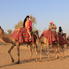 Desert Experience: Camel Safari with Dinner and Emirati Activities from ...