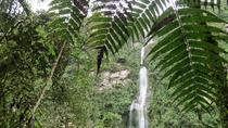 La Chorrera, El Chiflon Waterfall Hiking Adventure from Bogota 2021 ...