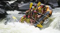 Tully River White-Water Rafting Full-Day Tour from Cairns 2019 - Cairns ...