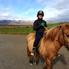 Viking Horse Ride and Gulfoss and Geysir Express Tour from Reykjavik ...
