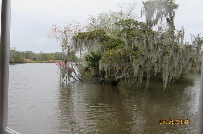 Swamp and Bayou Tour with Boat Ride from New Orleans 2019