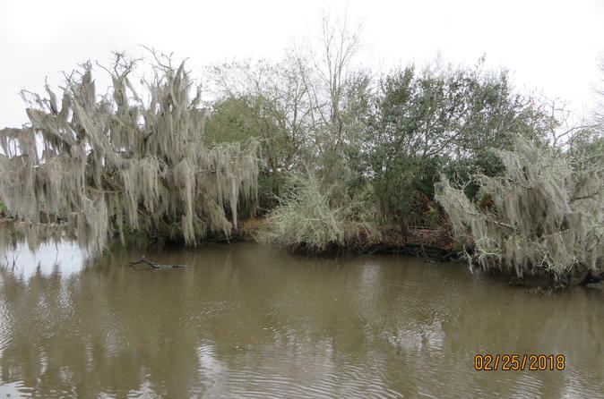 Swamp and Bayou Tour with Boat Ride from New Orleans 2019