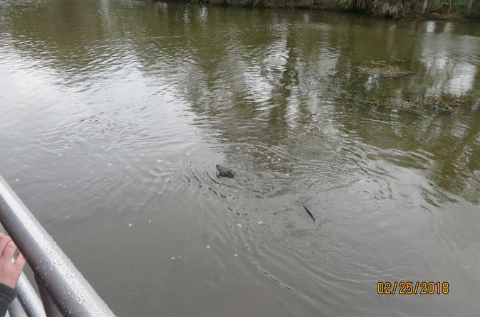 Swamp and Bayou Tour with Boat Ride from New Orleans 2019