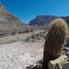 Grand Canyon in a Day: Hummer Tour from Las Vegas 2017