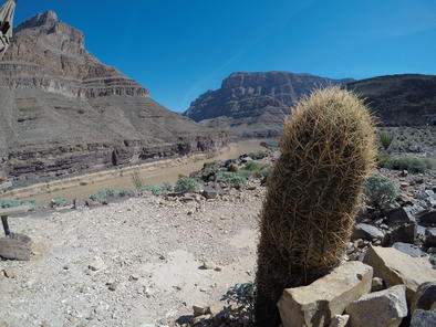 Grand Canyon in a Day: Hummer Tour from Las Vegas 2017