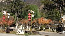 Beijing to Longqingxia Gorge and Guyaju Caves Private Day Tour 2020