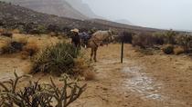Old Spanish Trail Horseback Ride with Lunch 2020 - Las Vegas