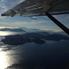 Seaplane Flight to Victoria and Whale-Watching Cruise 2017 - Vancouver