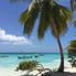 Saona Island Day Trip From Punta Cana - Punta Cana | Viator