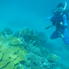 Learn to Scuba Dive on the Great Barrier Reef: 4-Day PADI Open Water ...