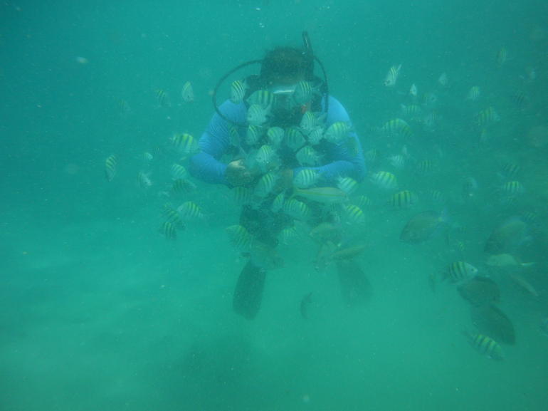 Top 10 Water Sports And Activities In Puerto Rico, USA - | Trip101