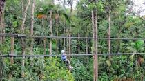 Rainforest Adventures St Lucia Aerial Tram and Zipline Tour (with ...