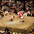Tokyo Sumo Wrestling Tournament | Viator