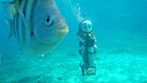 Cozumel Shore Excursion: Mini-SUB Diving Adventure 2021