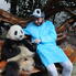 Half-Day Chengdu Panda Breeding Center Tour with Optional Baby Panda ...