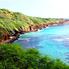 Hanauma Bay Snorkeling Adventure Half-Day Tour 2017 - Oahu