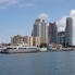 Miami Combo Tour: City Sightseeing, Biscayne Bay Cruise and Everglades ...