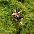 Aerial Tram and Zipline Tour from Jaco - Jaco | Viator