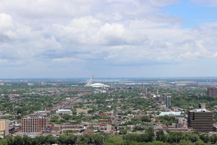 Toronto City Hop-on Hop-off Tour (with Photos) - Toronto