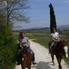 Horse Riding in Chianti Day Trip from Florence - Florence | Viator
