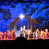 Radio City Music Hall Christmas Spectacular - New York City | Viator